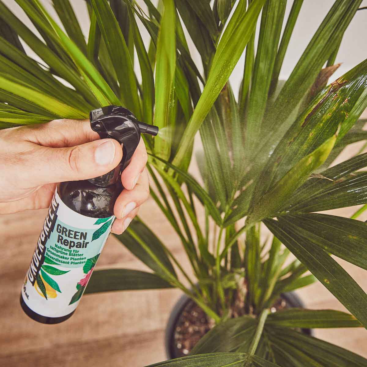 GREEN AGAIN REVERDECIENTE SPRAY 250mL