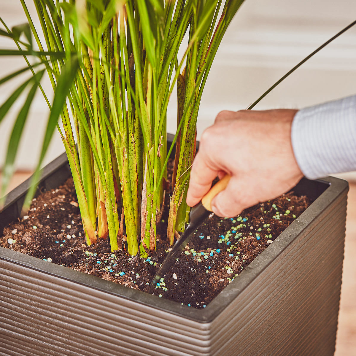 Dale un estímulo de energía a tus plantas con Undergreen Nutri Booster